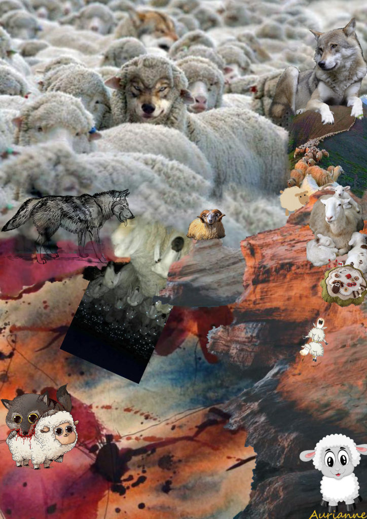 Sheeps who did not jump off the cliff – Aurianne Or